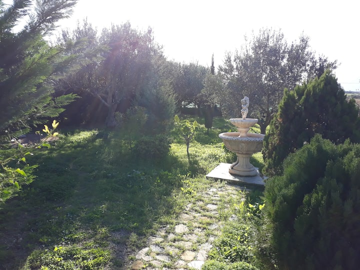 Surrounded By Greenery - Balestrate