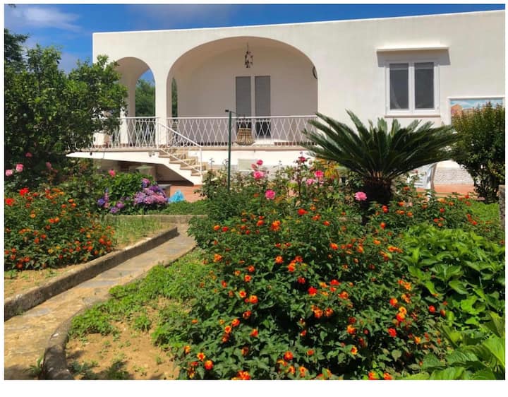 Intera Villa Nel Centro Pedonale Di Anacapri - Anacapri