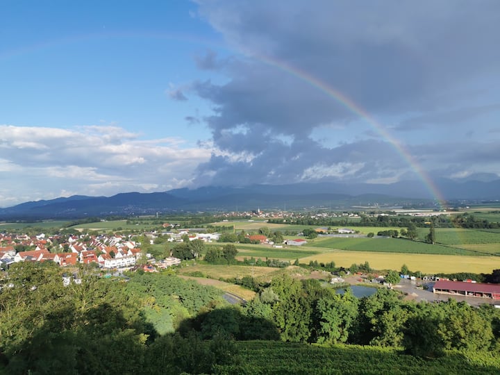 Großzügige 3-zimmer-wohnung Im Hochparterre - Freiburg
