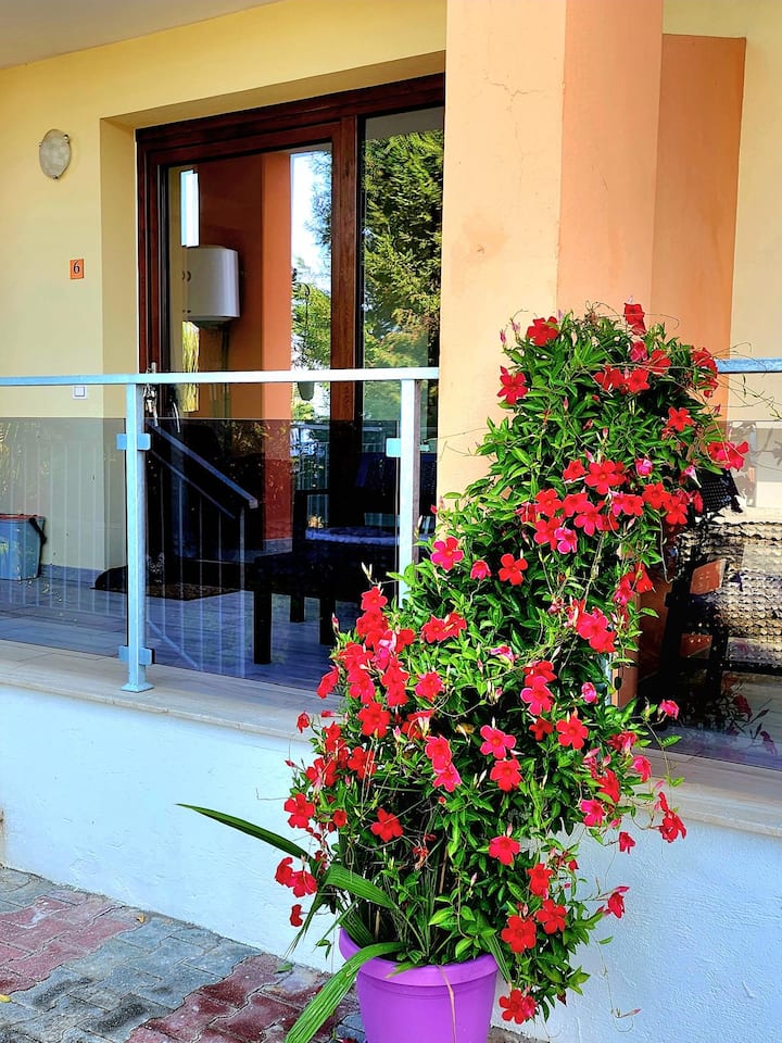 Appartamento Tropea Vista Mare (N°3) - Zambrone