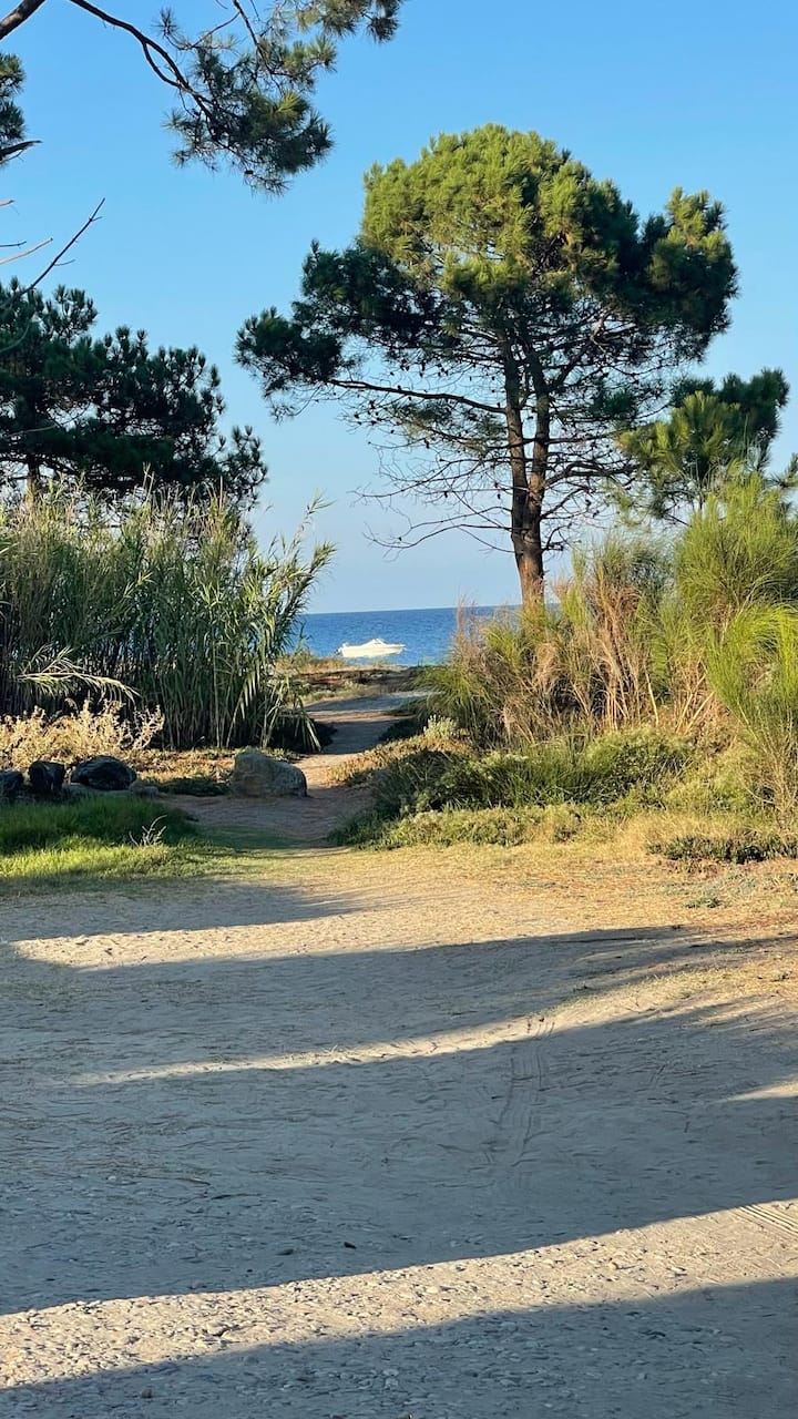 Mini Villa En Bord De Mer à 150 M De La Plage - Borgo