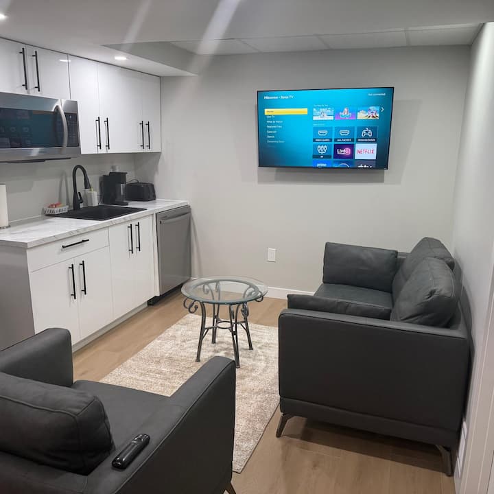 A Brand New Executive 1 Bedroom Basement Suite. - Winnipeg