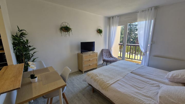 Charmant Studio Au Cœur De La Ville - Dax - Dax