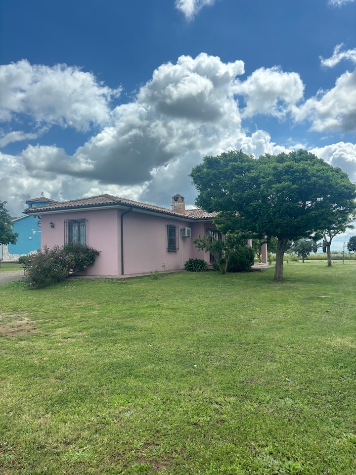 B&b Il Papavero - Tuscania