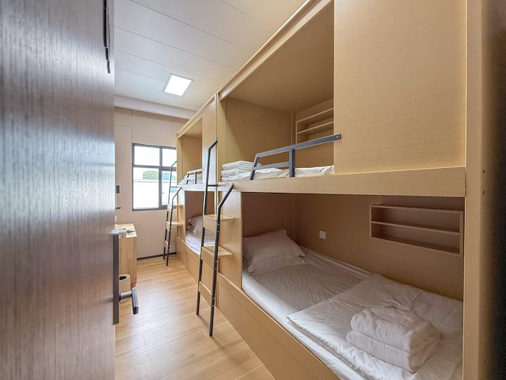 帕劳潜水家的海滨民宿 | 下楼直达私人码头，社交达人多人间 | 直饮水+五星床品【多人间单床位】 - Palau