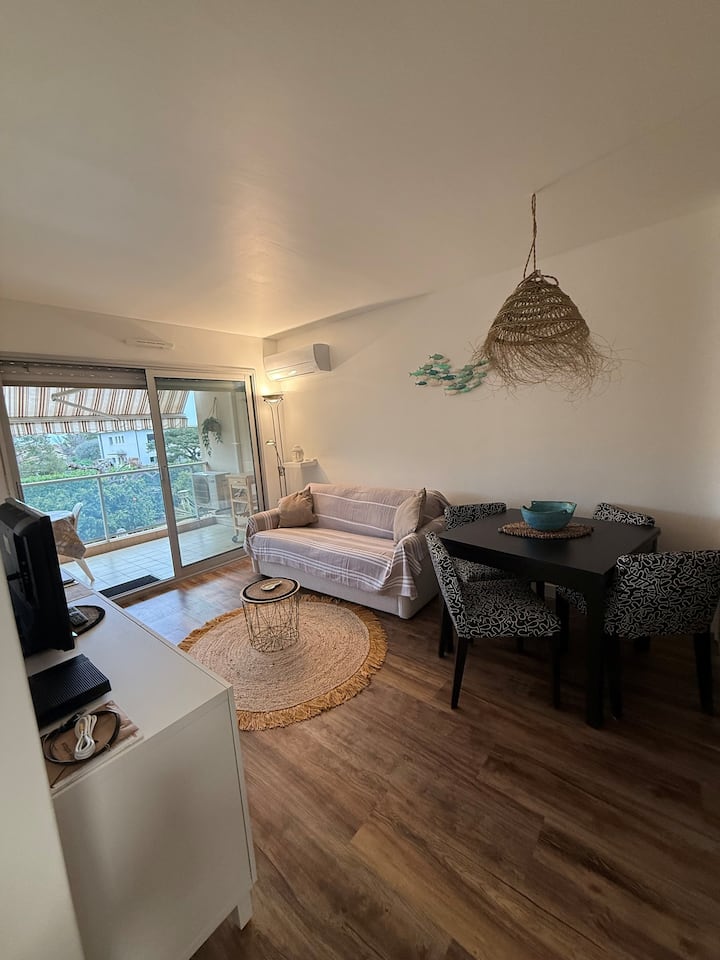 Delizioso Appartemento Ad Antibes - Antibes