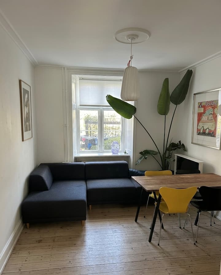 Apartment In Copenhagen Right Next To Stefensgade - Copenhaguen
