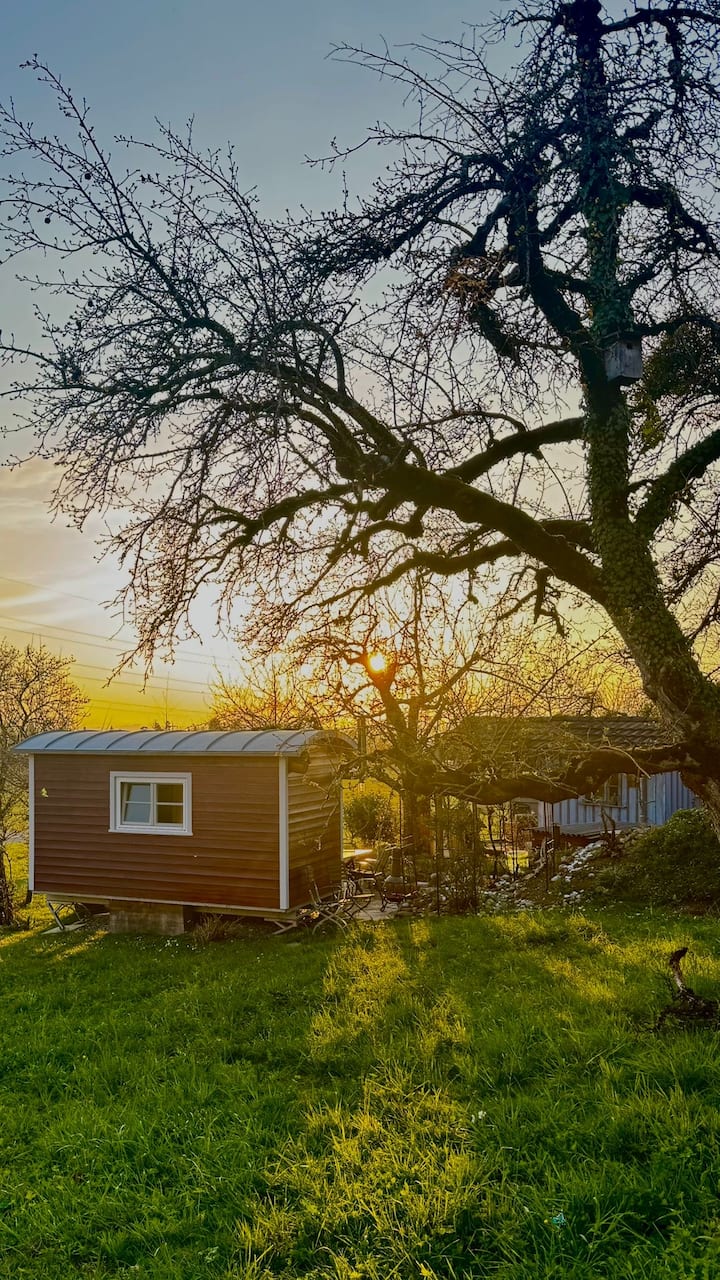 Auszeit Im Grünen - Rapperswil-Jona