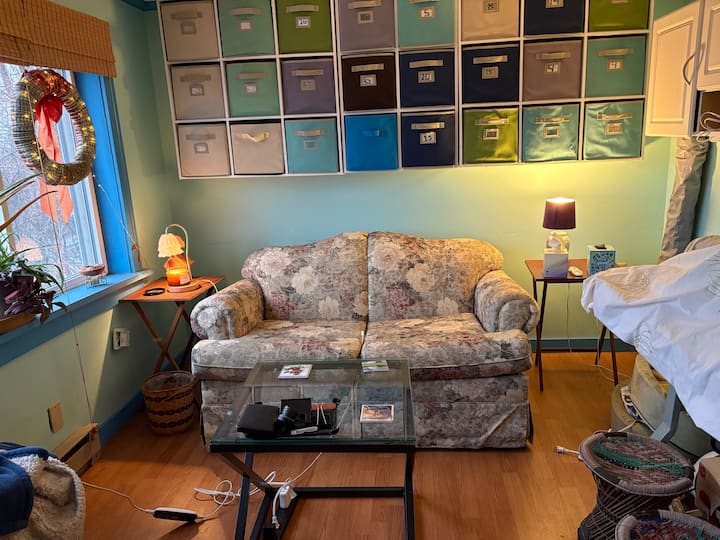 Superior Views, Walking Distance To All Amenities. - Middlebury, VT