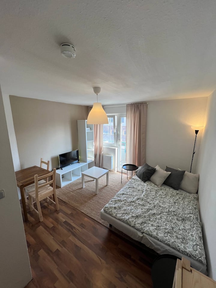 City Apartment 16 - Mannheim Hbf Station