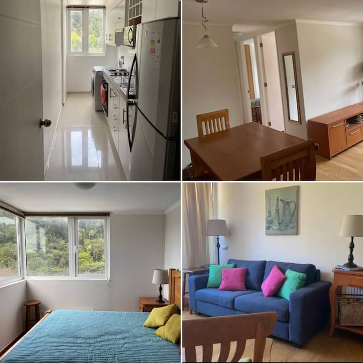 Dpto. Amoblado, Centro Concepción, Parque Ecuador - San Pedro de la Paz