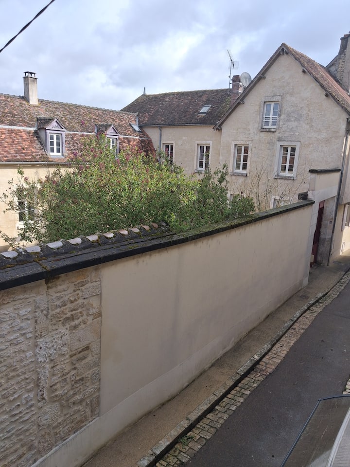 Gîte Trois Chambres En Plein Centre-ville - Chablis