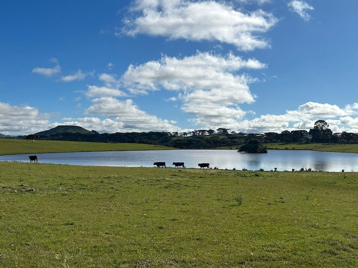 Fazenda Monte Alegre - São Joaquim