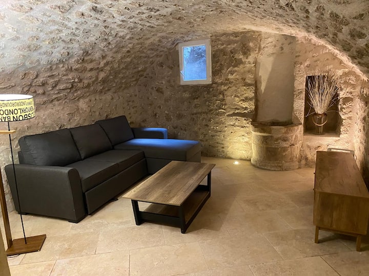 Maison En Hypercentre: Calme Et Charme De L'ancien - Orléans