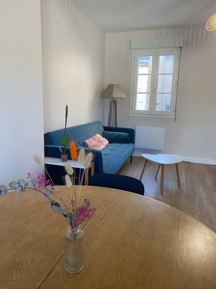 Cocon Lumineux Et Charmant-quartier Historique - Angers