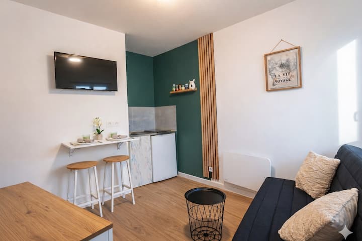 Studio Chaleureux Et Fonctionnel Proche Gare - Clermont-Ferrand