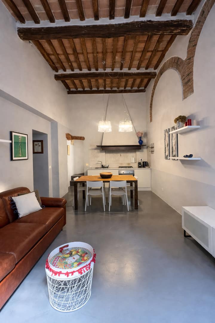 Elegante Appartamento Nel Centro Storico Di Lucca - Lucca