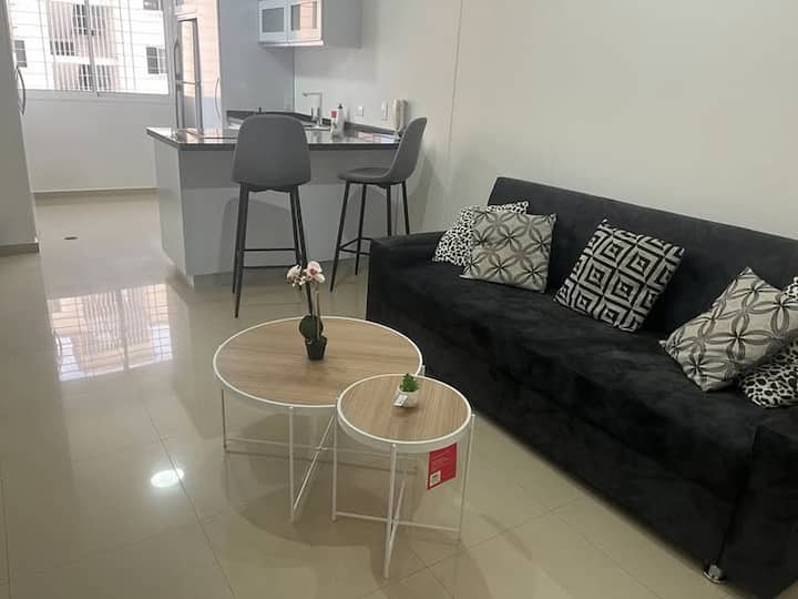 Confort, Bienestar, Facilidad Y Conveniencia - Venezuela