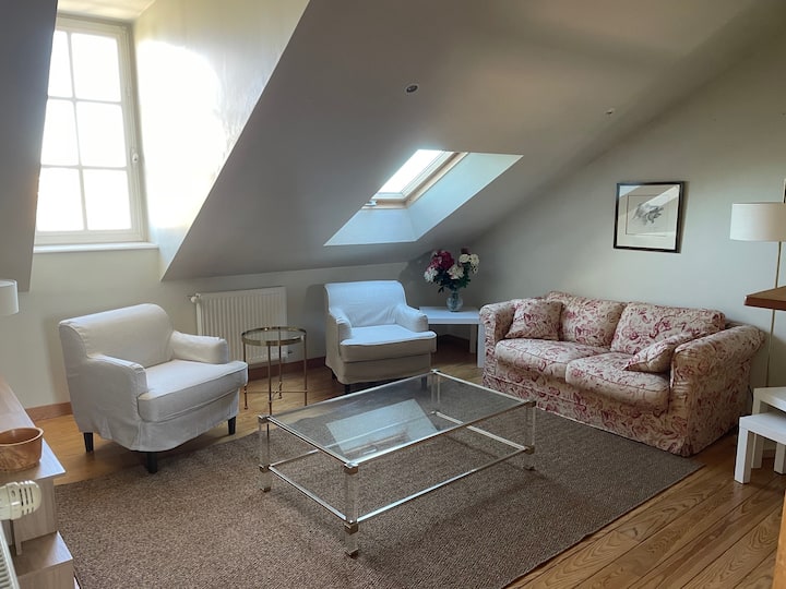 Appartement De Charme - Immeuble "Belle Epoque" - Sablé-sur-Sarthe