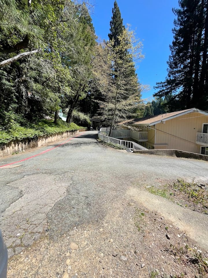 Serene Redwood Studio @ Brooktrails Lodge - Willits, CA