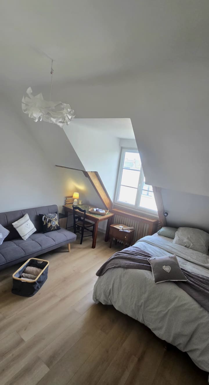 Studio à Saint-pierre-des-corps - Montlouis-sur-Loire