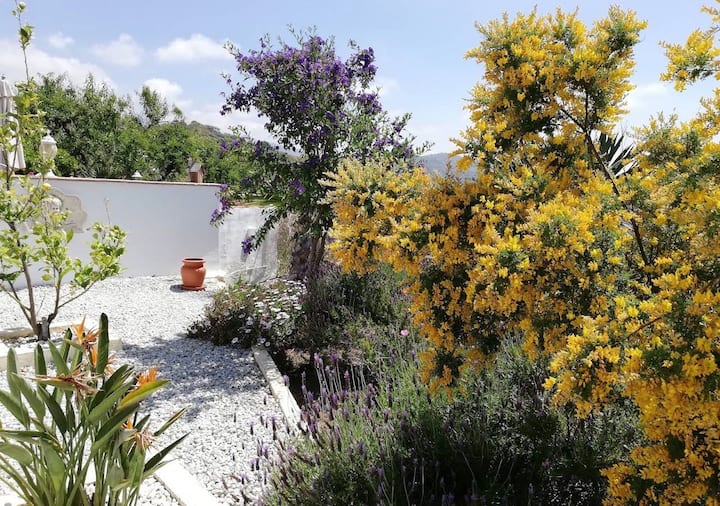 Casa Azafranes - Boutique B&b - Kamer “Olivar” - Torre del Mar