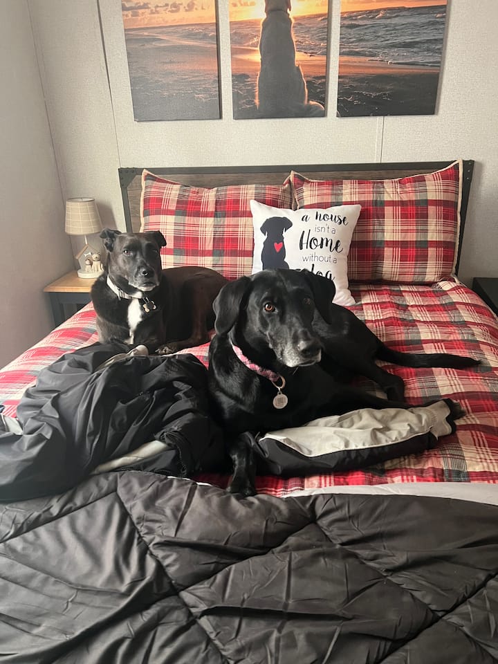 “Woof” Lodge Minutes From The Beach And Redwoods! - Crescent City, CA