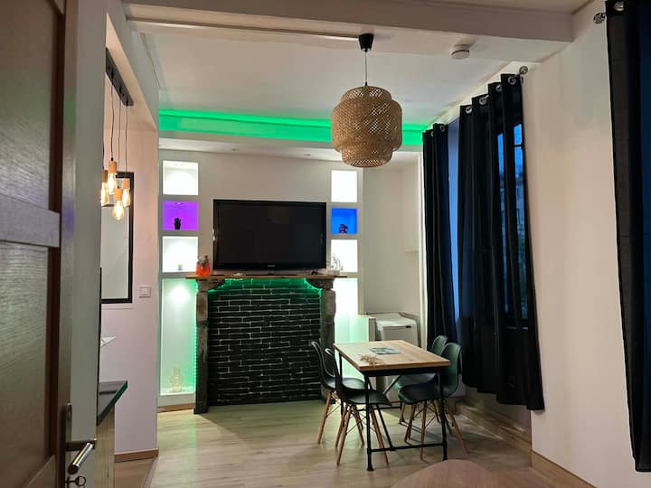 Bel Appartement- T2 Centre-ville De St- ÉTienne. - Saint-Étienne
