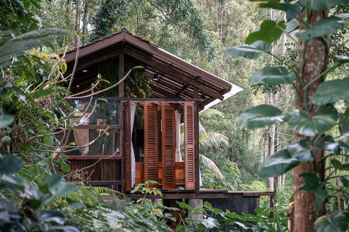 Folky House Sidemen With Breakfast - Sidemen