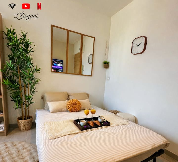 L’élégant - 5 Min Gare Sncf Et Parc Expos - Wi-fi. - Saint-Étienne