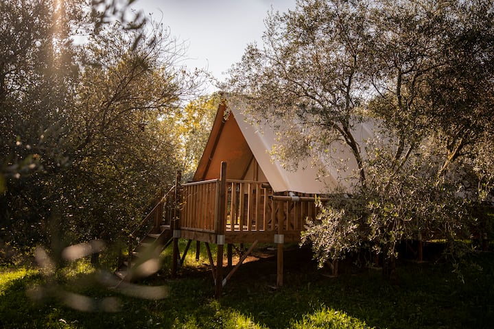 Glamping Tra Gli Ulivi Prosecco Hills, Yoga & Bike - Venetien