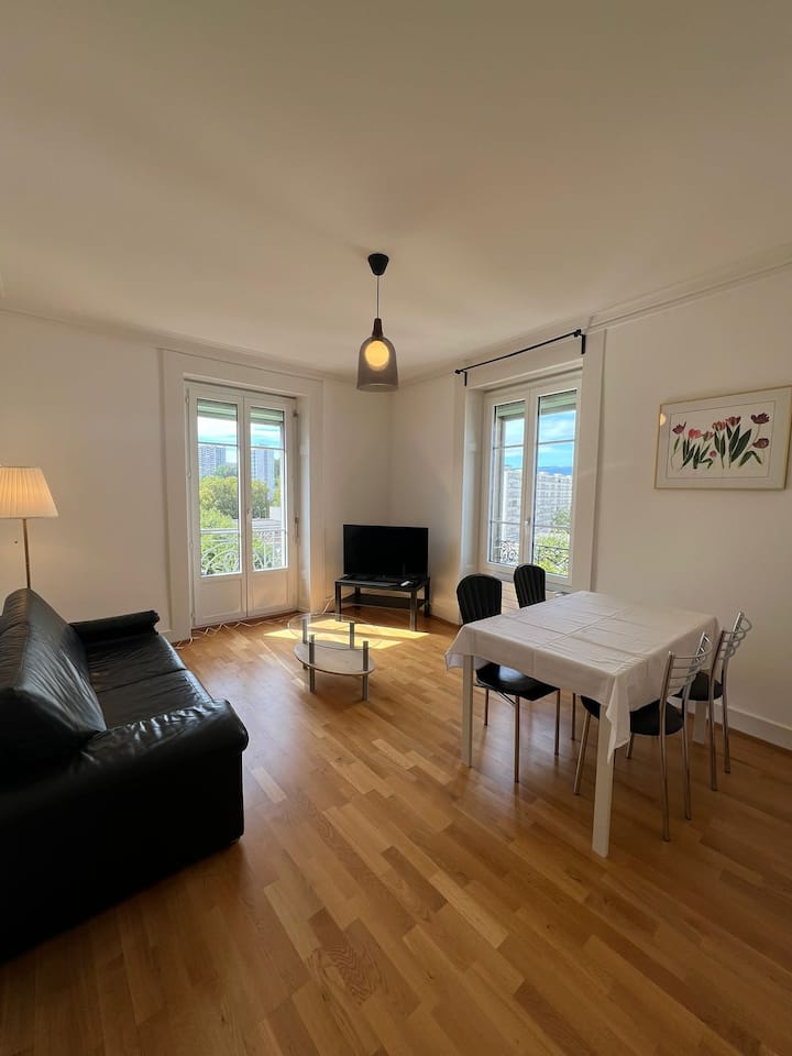 Appartement Confortable Au Cœur De Genève Centre - Ginebra