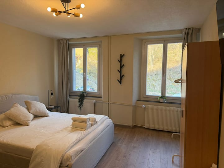 Chambre Spacieuse Avec Lavabo Privé - La Chaux-de-Fonds