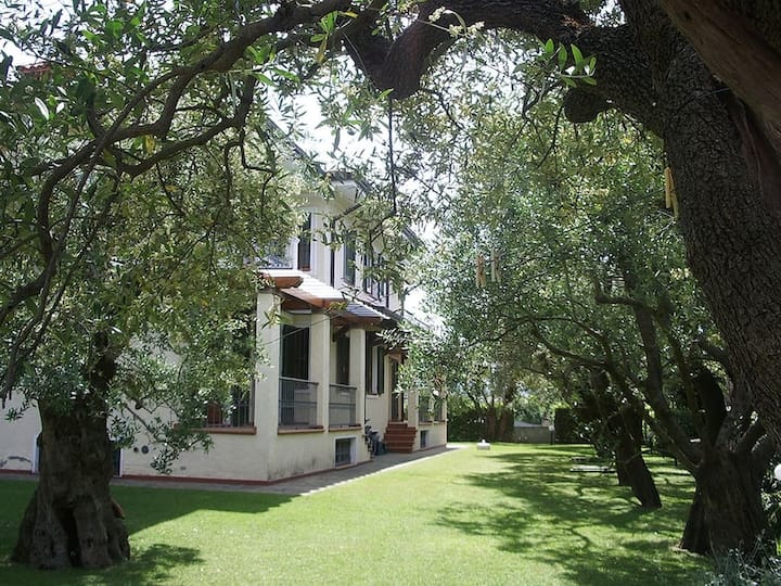 Villa Renato - Forte dei Marmi