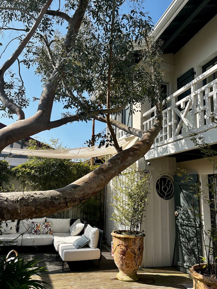 Charmante Arcachonnaise Proche Plage Et Port - Arcachon