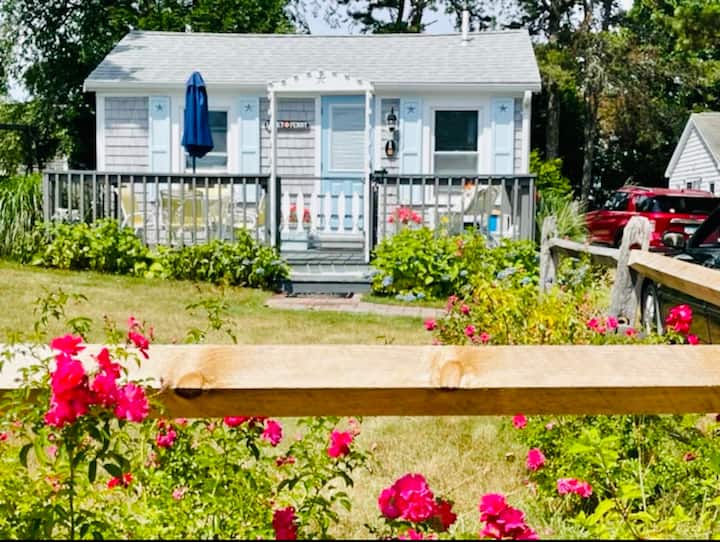 Lucky Penny • Classic Cape Cottage - Harwich, MA