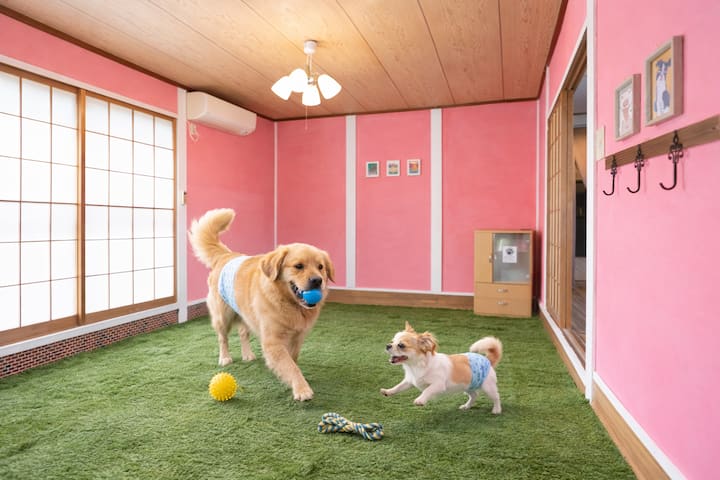 名古屋から約１時間/知多半島【貸切】/ペット可/室内ドッグラン付/最大７名/ミニBbqも！ - 半田市