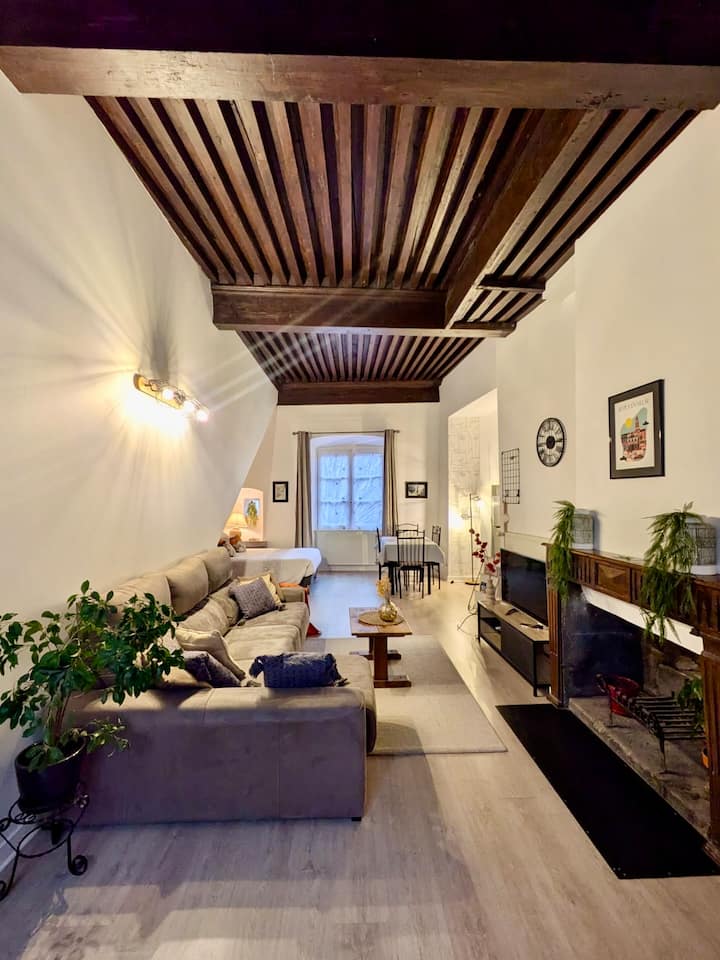 Nouveau - Logis Martel Au Pied De La Cathédrale - Le Puy-en-Velay