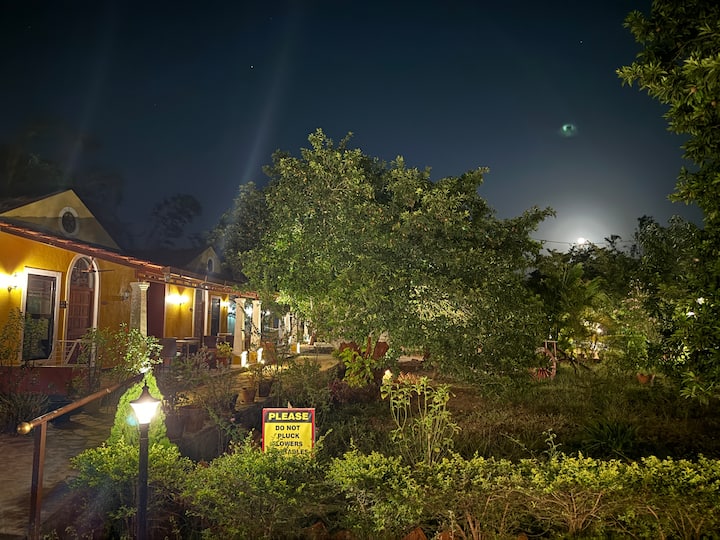 Jerevin Farms - Where Memories Blossom - Dahanu