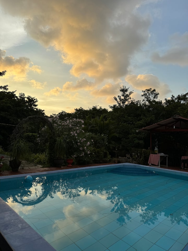 Jerevin Farms - Farm Resort - Dahanu