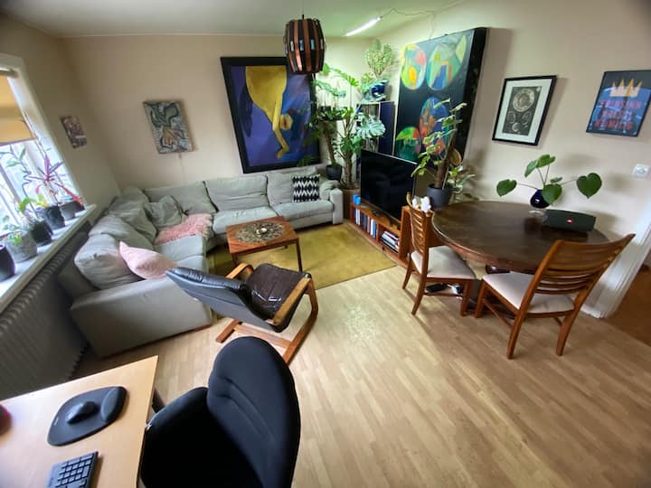 Apartment In Downtown Reykjavík - Reykjavík