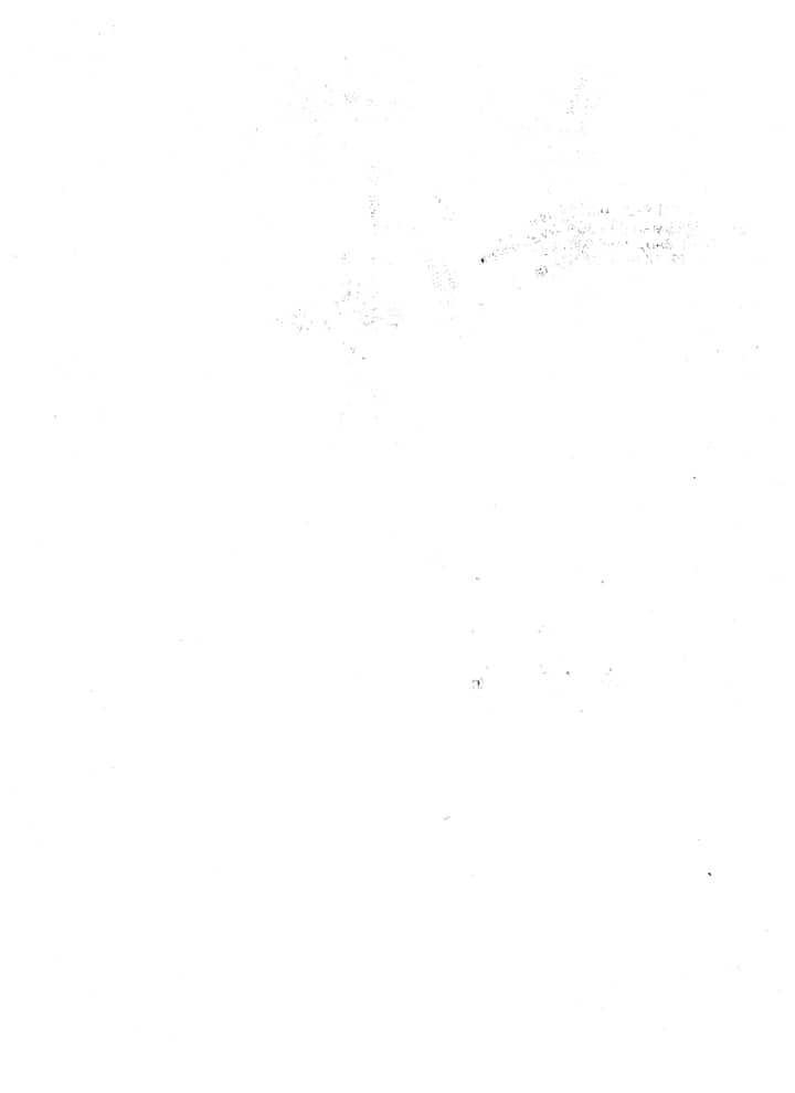 Mobil Home A Louer En Ardeche  Beauchastel 07800 - Livron-sur-Drôme