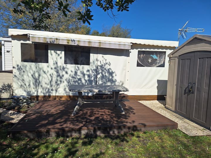 Le Cocon Des Pins - Andernos-les-Bains