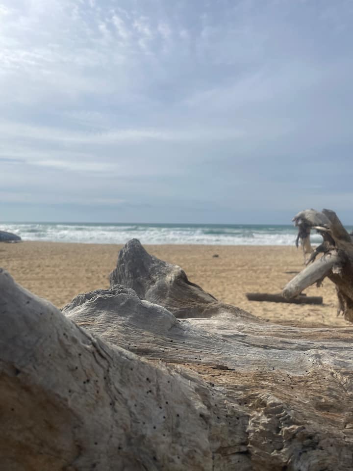 Casa Bohème - Capbreton