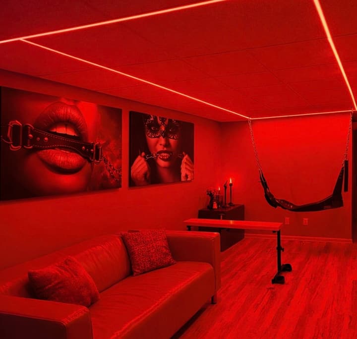 Red Room Experience 3bed2bath - Hidden Lake, South Lyon