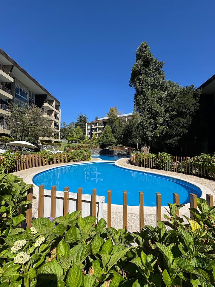 Moderno Y Exclusivo; Departamento 1d, Amenidades. - Pucón