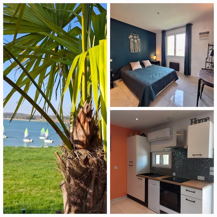 Lac Du Der Magnifique Gite *Sybelle Au Der* - Lac du Der-Chantecoq