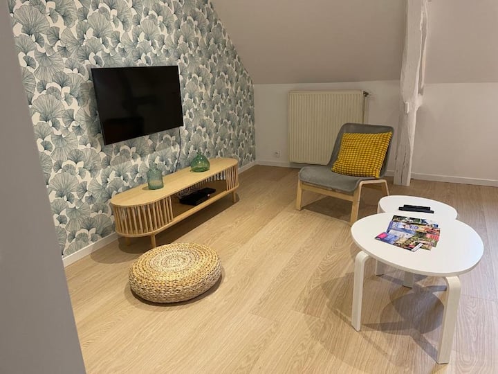Appartement à 6 Minutes Du Zoo - Saint-Aignan-sur-Cher