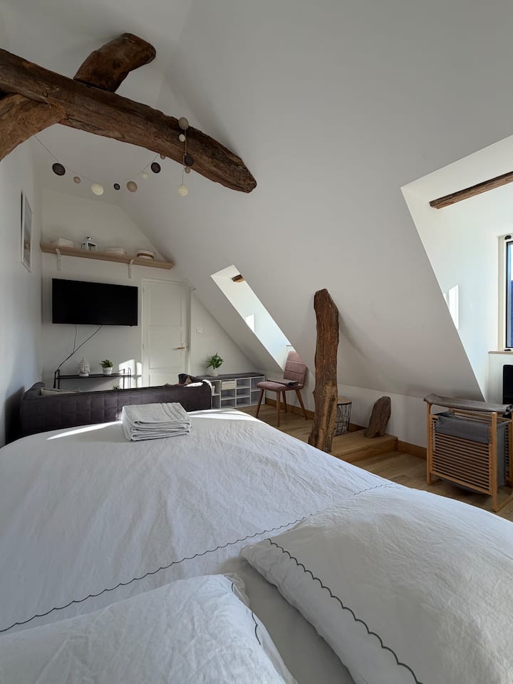 Centre Rennes - Studio Charmant Et Proche De Tout - Rennes