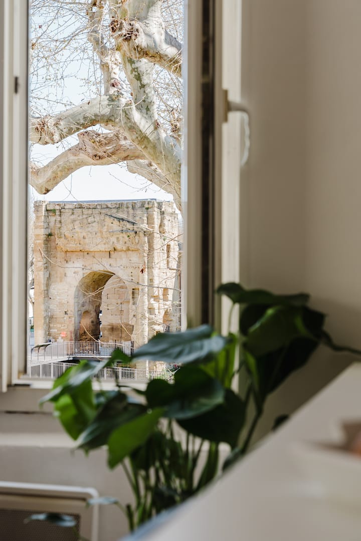 Charmant Appartement Au Pied Du Théâtre Antique - Orange